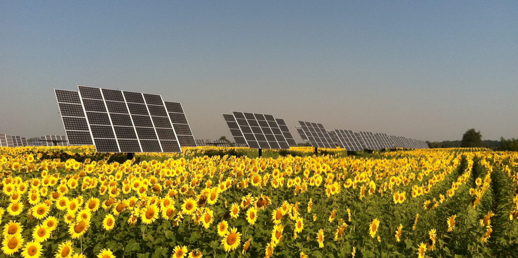 DEGER D80 - DEGER Energie